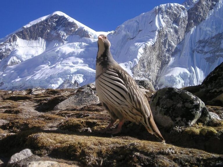 Upper Mustang trek Adventure: Mysteries of forbidden Kingdom - The Itinerary: From Kathmandu to the Forbidden Kingdom