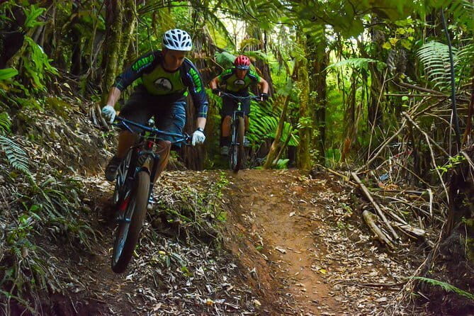 Urban Jungle Trail Cycling Tour from Colombo - Final Thoughts