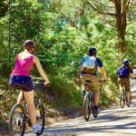 Urban Jungle Trail Cycling Tour from Mount Lavinia - The Historic Heart of the Tour: The City of Kotte