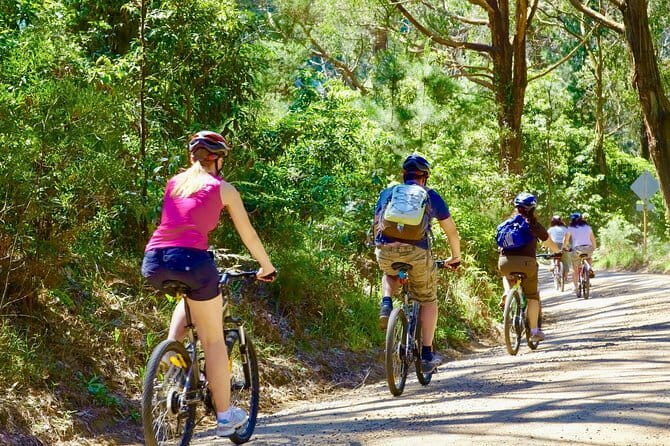 Urban Jungle Trail Cycling Tour from Mount Lavinia - The Historic Heart of the Tour: The City of Kotte