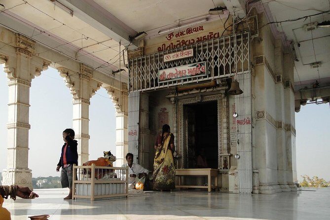 Vadodara to the Statue of Unity: Monumental Legacy Journey - Wrap-up and Return to Vadodara