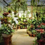 Vallarta Botanical Garden and Tequila Tasting from Puerto Vallarta - In-Depth Look at the Tour Experience