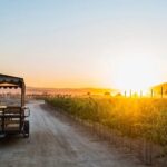 Valle de Guadalupe Premium Wine & Vineyard Wagon Tour - FAQs