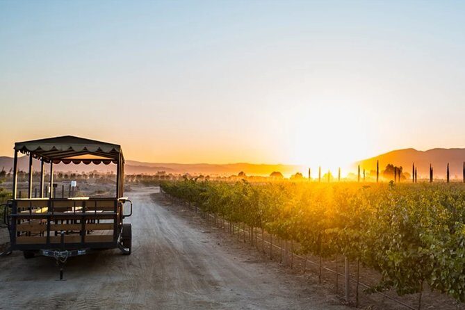 Valle de Guadalupe Premium Wine & Vineyard Wagon Tour - FAQs