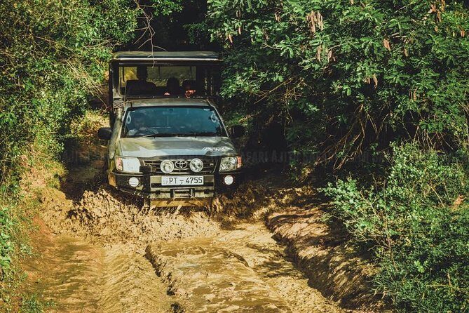 VALUE PACK! One Day Safari Tour to Yala and Udawalawa Parks - Transportation and Group Size