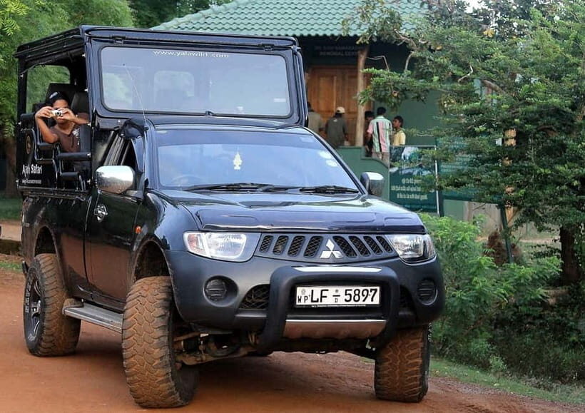 Value Tour: One Day Safari Trip to Yala & Udawalawe w/ Lunch - What We Loved About This Tour