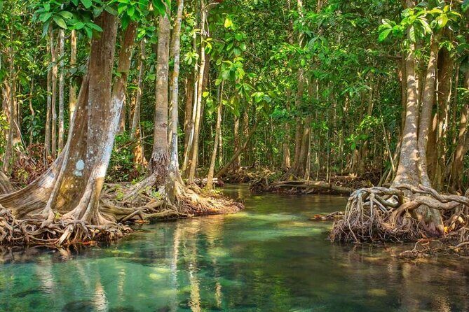 Vam Sat Mangrove Forest - VIP Private Tour from Ho Chi Minh City - Transportation & Guides: Comfort and Knowledge