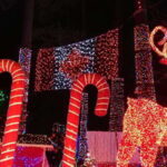 Vancouver: Christmas Tour with Light Festival Entrance - Analyzing the Value