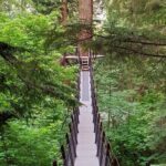 Vancouver City Tour: Capilano Bridge and Stanley Park - Practicalities and Value