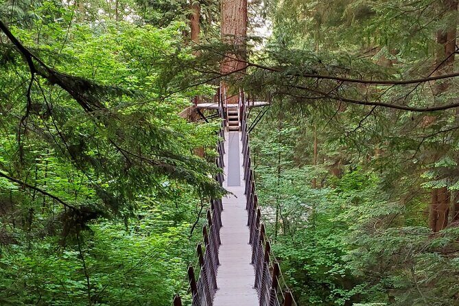 Vancouver City Tour: Capilano Bridge and Stanley Park - Practicalities and Value