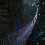 Vancouver: City Tour with Capilano Suspension Bridge - The Sum Up