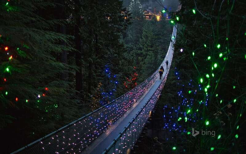 Vancouver: City Tour with Capilano Suspension Bridge - The Sum Up