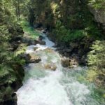 Vancouver Rainforest Hike with Waterfalls, Suspension Bridge, Old Growth Forest - The Itinerary Explored: What You Can Expect