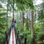 Vancouver: Small Group Tour w/Capilano & Grouse Mtn Lunch - The Value of This Tour