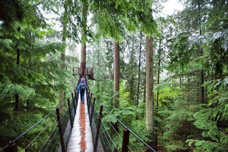 Vancouver: Small Group Tour w/Capilano & Grouse Mtn Lunch - The Value of This Tour