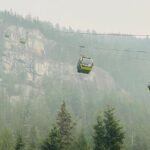 Vancouver, Squamish & Shannon fall Day Private Tour - Practical Considerations