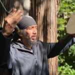 Vancouver: Stanley Park Talking Trees Tour - The Tour Itinerary: A Closer Look