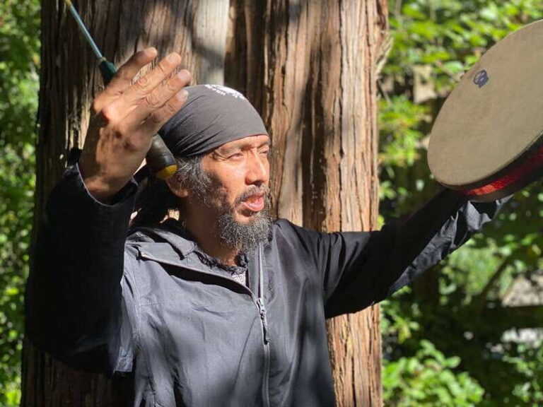 Vancouver: Stanley Park Talking Trees Tour - The Tour Itinerary: A Closer Look