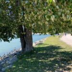 Vancouver Waterfront Guided Bike / Ebike Tour - The Itinerary: What Youll Cover