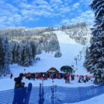 Vancouver Winter fun Mountain adventure Tour Private - Who Is This Tour Best For?