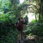 Vang Vieng: Jungle & Caves Full-Day Private Trekking Tour - What’s Included and What to Prepare