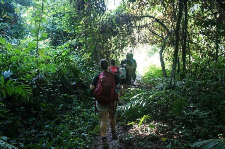 Vang Vieng: Jungle & Caves Full-Day Private Trekking Tour - What’s Included and What to Prepare