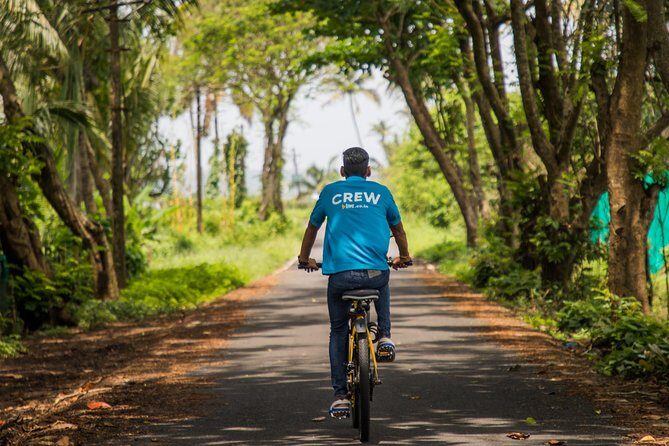 Varca Coastal E-Bike Tour: Scenic Beachside Adventure - Why This E-Bike Tour Is Worth It