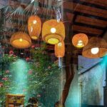 Vegan Cooking Class in Local Villa with Market Visit - Free PickUp & DropOff - Why Reviewers Are Enthusiastic