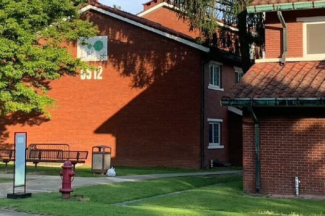 Vegetarian Seoul City Tour / Small Group / 8 Max - What Makes This Tour Stand Out