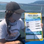 Victoria Highlights & Whale Watching Tour - The Whale Watching: An Up-Close Marine Encounter