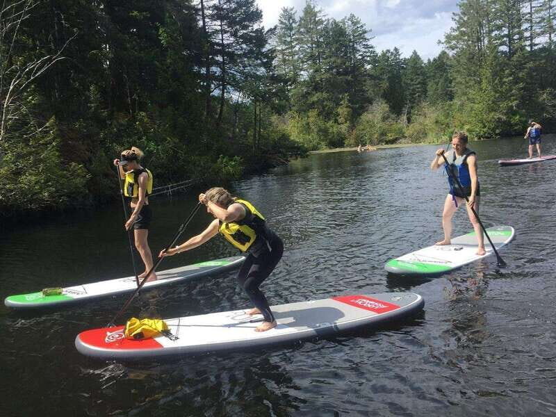 Victoria: Intro to Stand Up Paddle Boarding at Thetis Lake - What Makes This SUP Experience Stand Out?