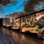 Victoria Peak Tram and Sky Terrace 428 Admission Hong Kong - Final Thoughts: Is It Worth It?