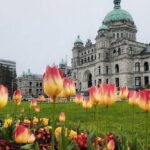 Victoria Pre and Post Cruise City Sightseeing Tour Private - Who Will Love This Tour?