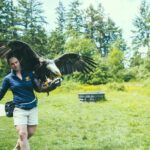 Victoria to Nanaimo Waterfall Wildlife Food Stops Along The Way - Practical Details: What You Need to Know