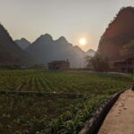 Vietnam: 7-Day North Vietnam Tour with Accommodation - What Travelers Say: Authenticity and Scenic Highlights