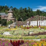 Vietnam Golden Bridge - Ba Na Hills Day Tour from Da Nang or Hoi An - Pricing and Value