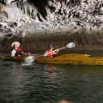 Vietnam Trip 15 Days 14 Nights from Northern by Train - Why This Tour Stands Out