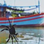 Vietnamese Cooking Class in Cam Thanh Coconut Forest & Basketboat - Exploring the Itinerary in Detail