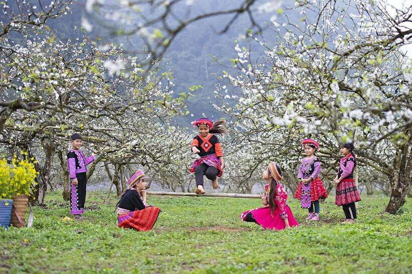 Vietnams Highlights in 15 Days: North to South by Air - Transportation & Logistics