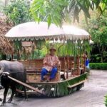 Villa Escudero Coconut Plantation Day Trip from Manila - The Reality Behind the Experience