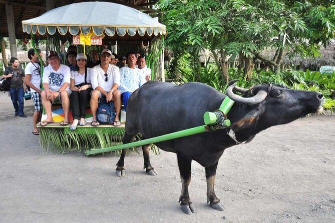 VILLA ESCUDERO DAY TOUR with Carabao Cart Ride and Bamboo from Manila - Practical Tips for Your Trip