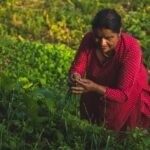 Village life experience in Patlekhet - Advantages and Considerations