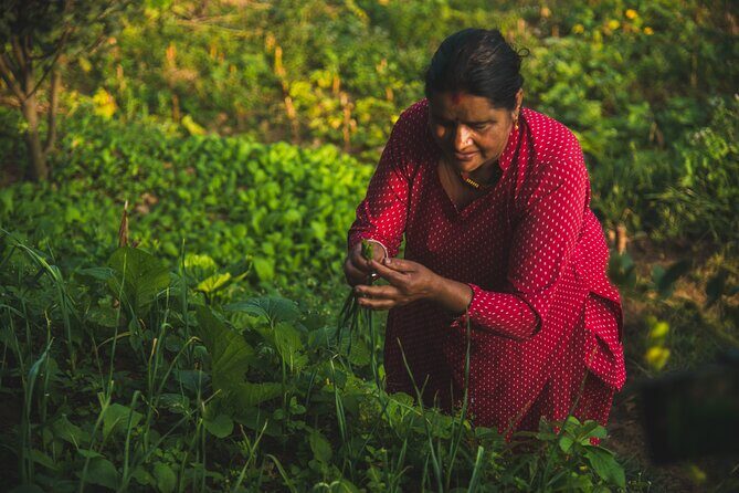 Village life experience in Patlekhet - Advantages and Considerations