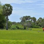 Village Life Tour from Siem Reap - Authentic Experiences That Make This Tour Stand Out