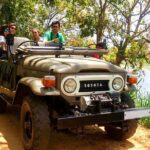 Village Tour by Classic Jeep from Habarana - What to Expect in Terms of Logistics