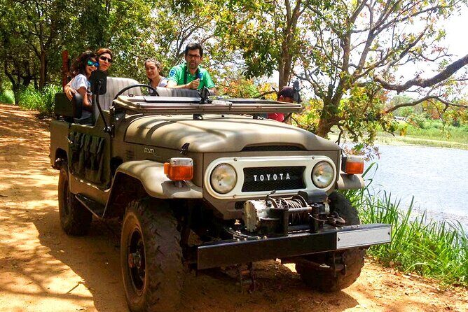 Village Tour by Classic Jeep from Habarana - What to Expect in Terms of Logistics