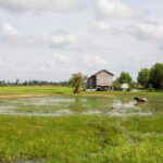 Village walking and Cooking class in Siem Reap - What We Love About This Experience
