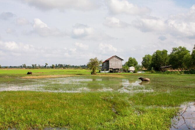 Village walking and Cooking class in Siem Reap - What We Love About This Experience