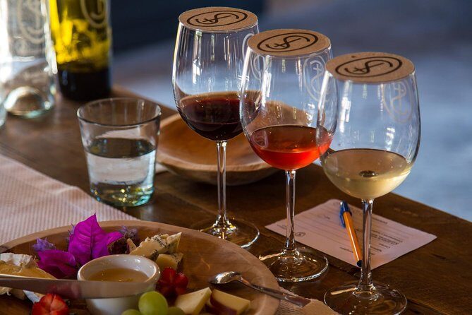 Vineyards, Wine Tasting and Pairing in San Miguel - The Itinerary: From Elegant Cellars to Rustic Charm