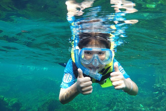 VIP Cenotes Private Tour - Why This Tour Offers Value and Authenticity